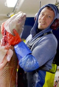 Ice Cold Catch: Season 1, Episode 17 - Rotten Tomatoes