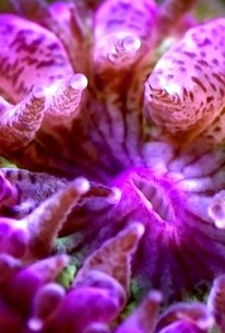 Catalyst: Season 18, Episode 8 | Rotten Tomatoes