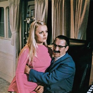 Alexandra Hay - Rotten Tomatoes