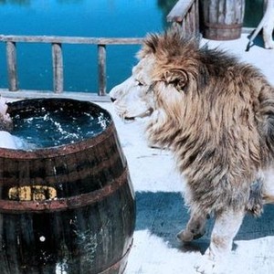 Roar - Rotten Tomatoes