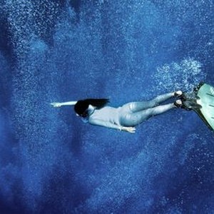 Dolphin Man (2017) - Rotten Tomatoes