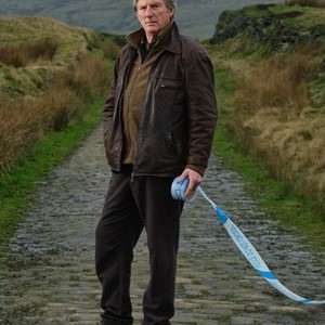 Ridley - Rotten Tomatoes