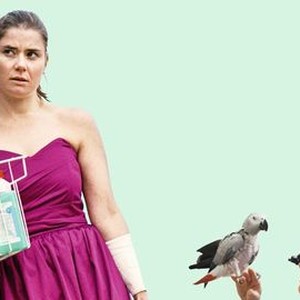 The Best of Dorien B. - Rotten Tomatoes