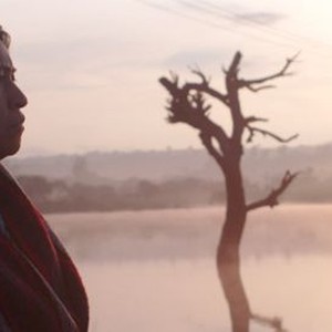 Identifying Features - Rotten Tomatoes