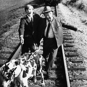 Klaus Havenstein - Rotten Tomatoes