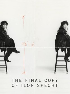 final copy ltd