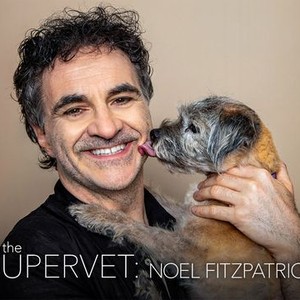 The Supervet: Noel Fitzpatrick - Rotten Tomatoes