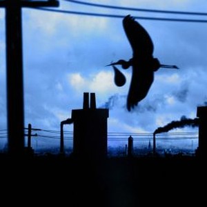 Patch Town - Rotten Tomatoes