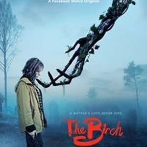 The Birch - Rotten Tomatoes