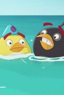 Angry Birds Toons: Season 2, Episode 4 | Rotten Tomatoes