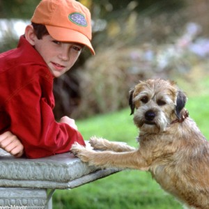 Good Boy! (2003) - Rotten Tomatoes