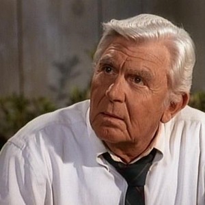 Matlock: Season 9, Episode 15 - Rotten Tomatoes