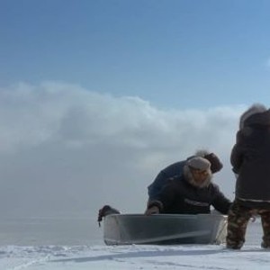 Angry Inuk - Rotten Tomatoes