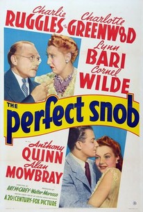 The Perfect Snob | Rotten Tomatoes