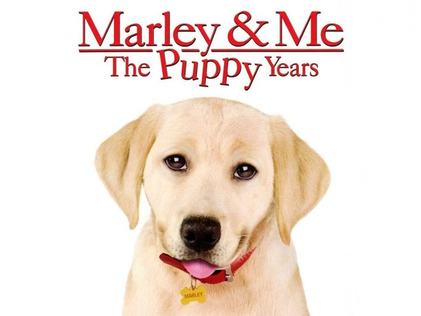 Marley And Me Cast Kijk Marley & Me | Disney+