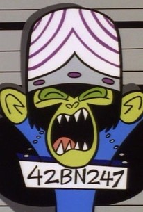 The Powerpuff Girls: Season 1, Episode 12 | Rotten Tomatoes