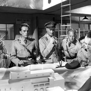 Anthony Bushell - Rotten Tomatoes