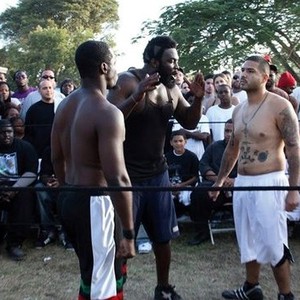 Dawg Fight - Rotten Tomatoes