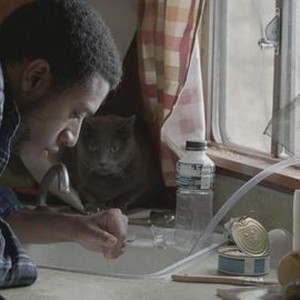 The Alchemist Cookbook - Rotten Tomatoes