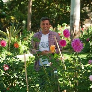 The Garden Gurus: Season 33, Episode 14 - Rotten Tomatoes