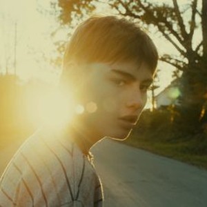 The Cold Lands - Rotten Tomatoes