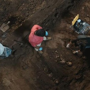 Forensic - Rotten Tomatoes