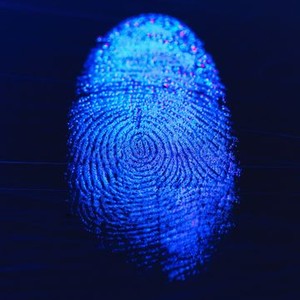 Extreme Forensics - Rotten Tomatoes