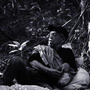 Genus, Pan - Rotten Tomatoes