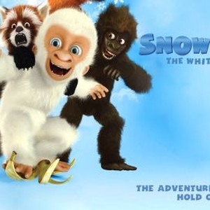 Snowflake, the White Gorilla - Rotten Tomatoes