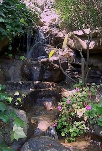 The Pool Master: Season 1, Episode 4 | Rotten Tomatoes