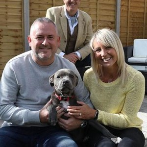 Dogs Behaving (Very) Badly: Season 3, Episode 10 - Rotten Tomatoes