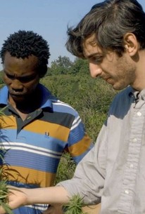 Vice Essentials: Season 1, Episode 49 | Rotten Tomatoes