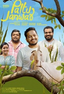 Palthu Janwar - Movie Reviews - Rotten Tomatoes