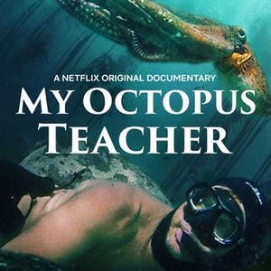 My Octopus Teacher - Rotten Tomatoes