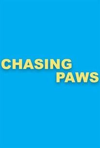 Chasing Paws | Rotten Tomatoes