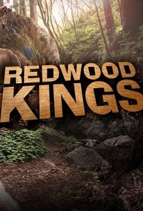 Redwood Kings: Season 2 | Rotten Tomatoes