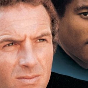 Brian's Song - Rotten Tomatoes