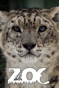 The Zoo: Season 2 | Rotten Tomatoes