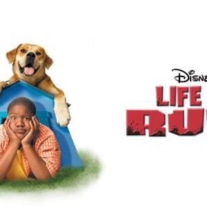 Life Is Ruff (2005) - Rotten Tomatoes