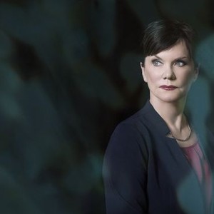 The Deadly Type With Candice DeLong - Rotten Tomatoes