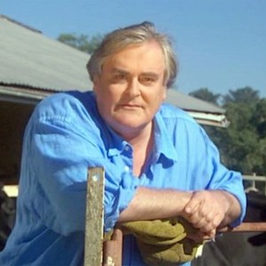 The Real Seachange - Rotten Tomatoes