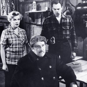 Bait - Rotten Tomatoes