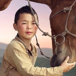 The Steed - Rotten Tomatoes