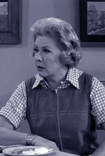 The Lucy Show: Season 1, Episode 4 | Rotten Tomatoes