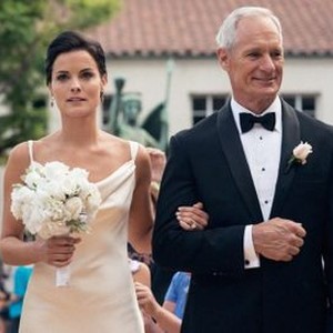 Matt Riedy - Rotten Tomatoes