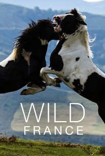 Wild France: Season 1 | Rotten Tomatoes