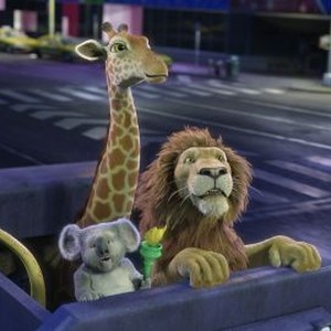 The Wild - Rotten Tomatoes