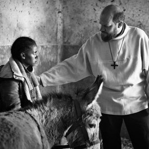 Fortuna - Rotten Tomatoes