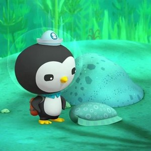 Octonauts: Season 1, Episode 47 - Rotten Tomatoes