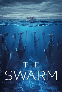 The Swarm - Rotten Tomatoes